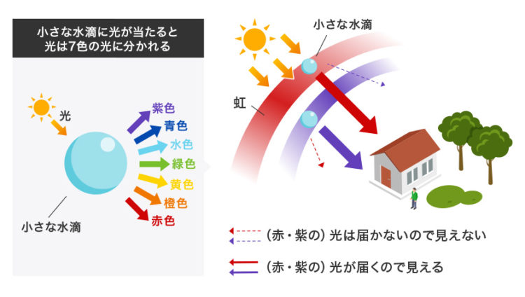 なぜ虹は7色?なぜ雲は白く空は青い?「光」の不思議について解説! メノコト365 Byわかさ生活
